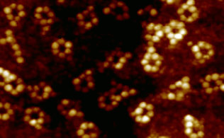 Scientists’ report world’s first X-ray of a single atom - The Brighter ...