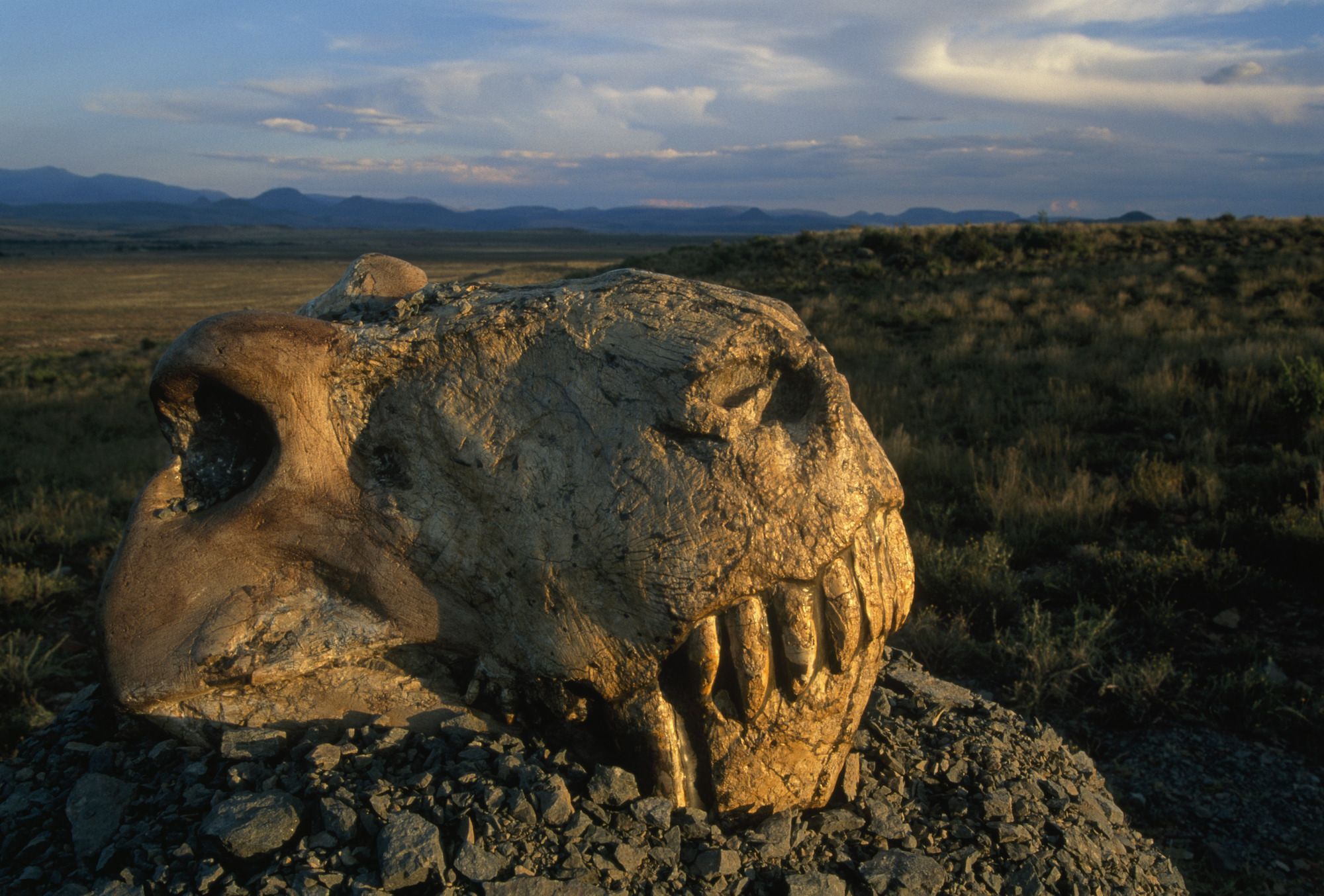 Uncovering the secrets behind Earth's first major mass extinction - The ...
