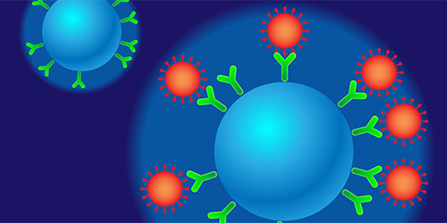 Scientists use holographic imaging to detect viruses and antibodies ...