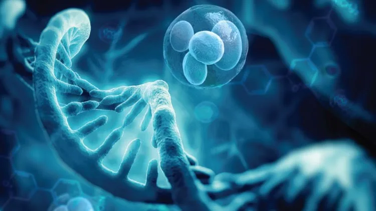 Regenerative medicine breakthrough transforms heart disease treatment ...