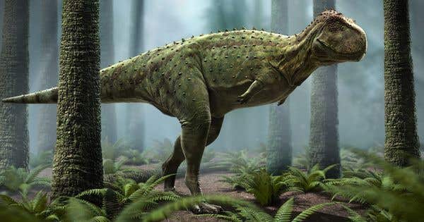 Researchers discover "primitive cousin" of T rex - The Brighter Side of ...