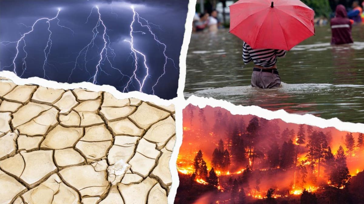 Stanford researchers use artificial intelligence to unlock extreme ...