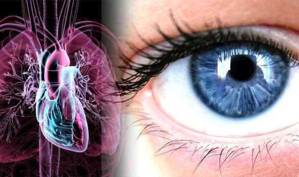 AI can predict risk of a heart attack in the next year from a routine ...