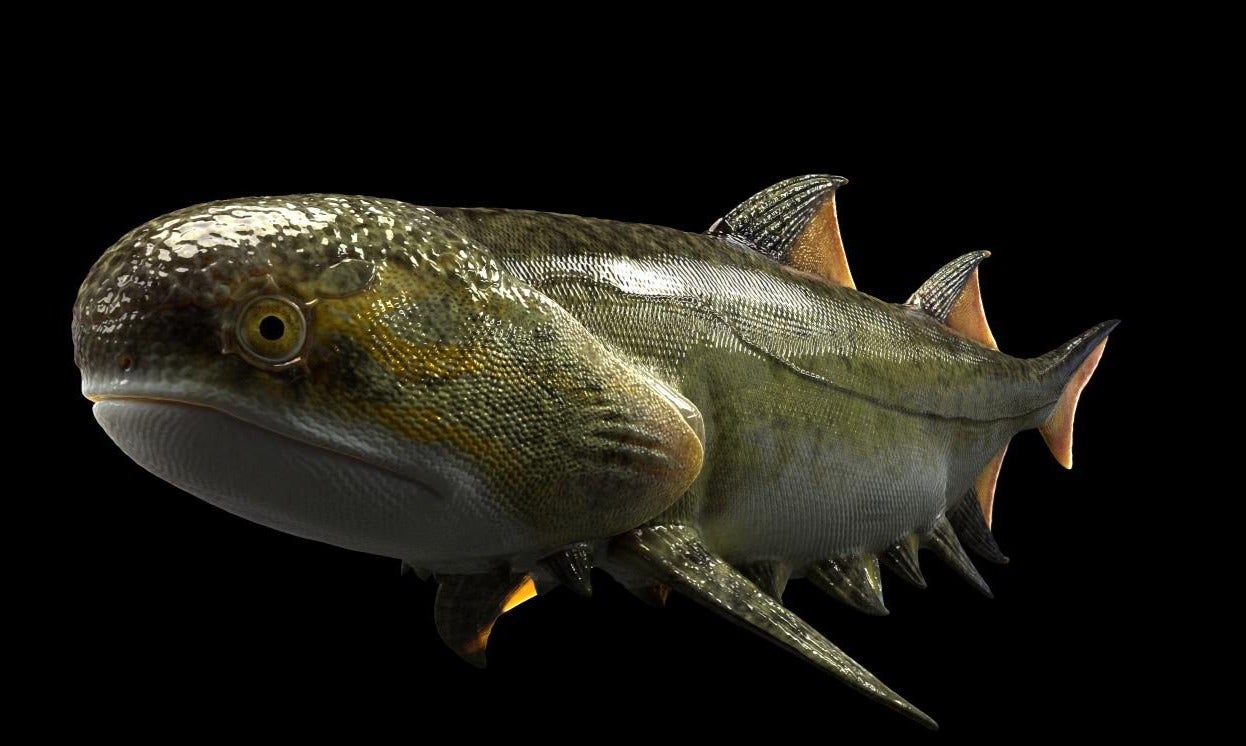 Ancient 'sharks' appeared much earlier than previously thought - The ...