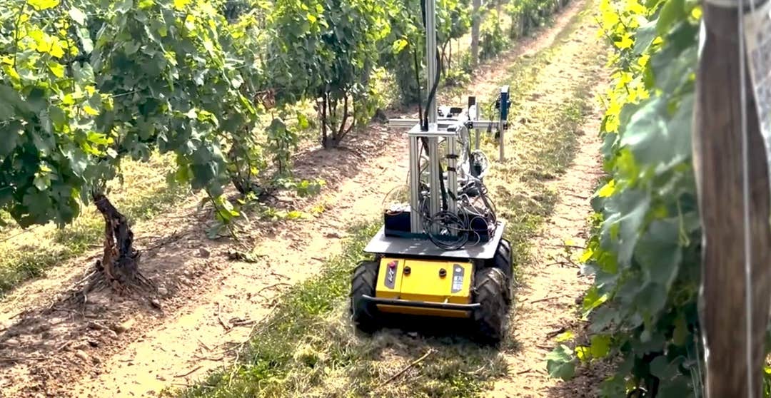 Small army of autonomous robots to help modernize grape, wine industry ...