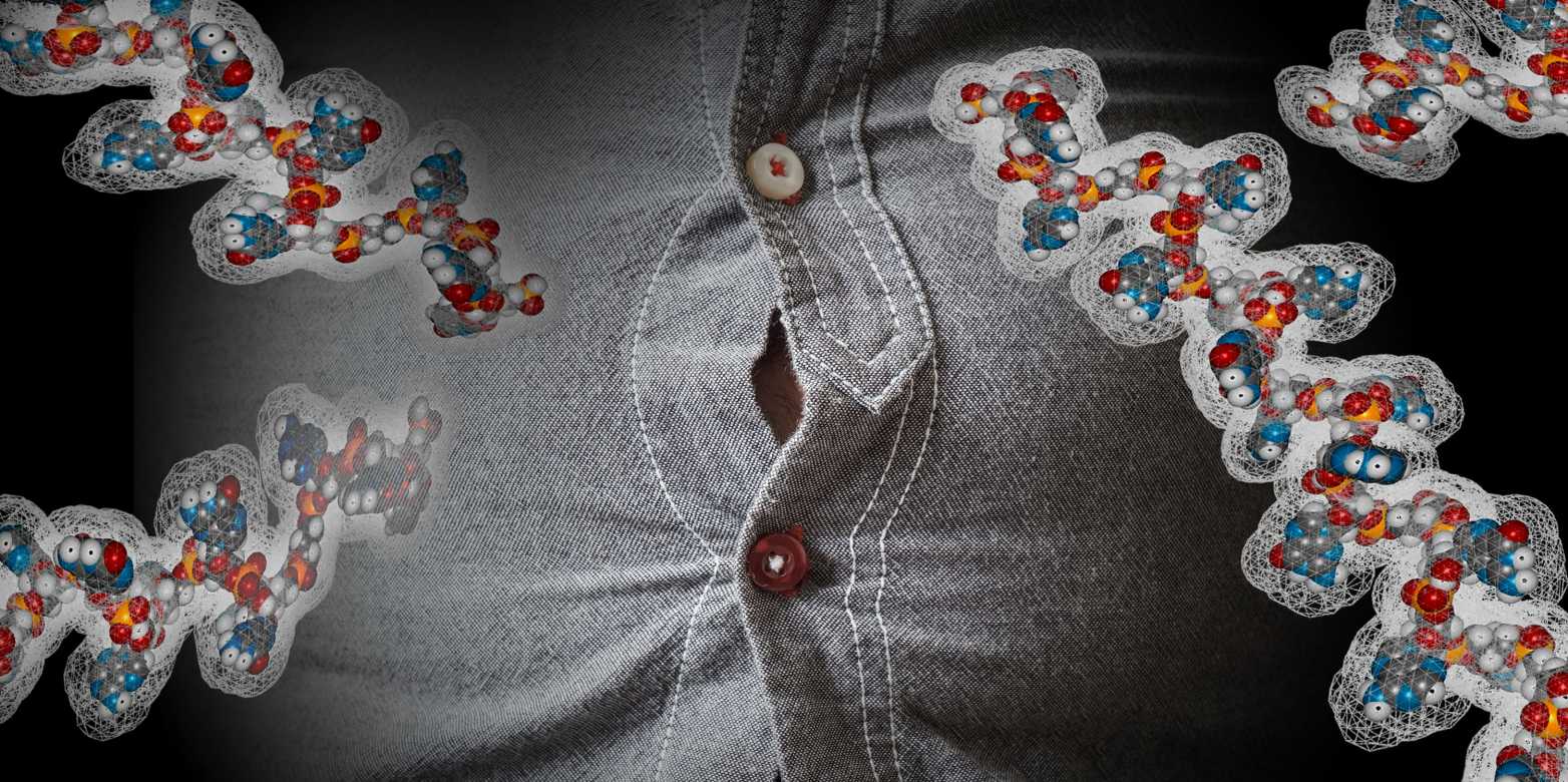 How genetics influences our body weight beyond the genes - The Brighter ...