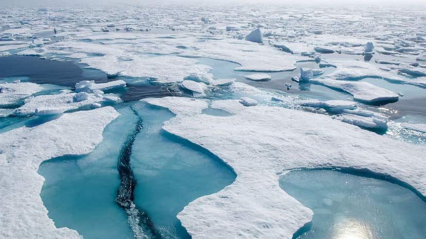 Study shows 50 years of significant snow cover decline in the Northern ...