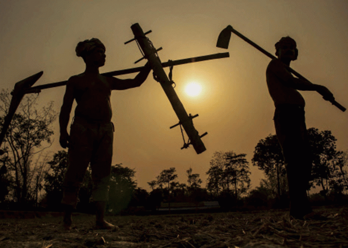 We now know how and why humans evolved into farmers - The Brighter Side ...