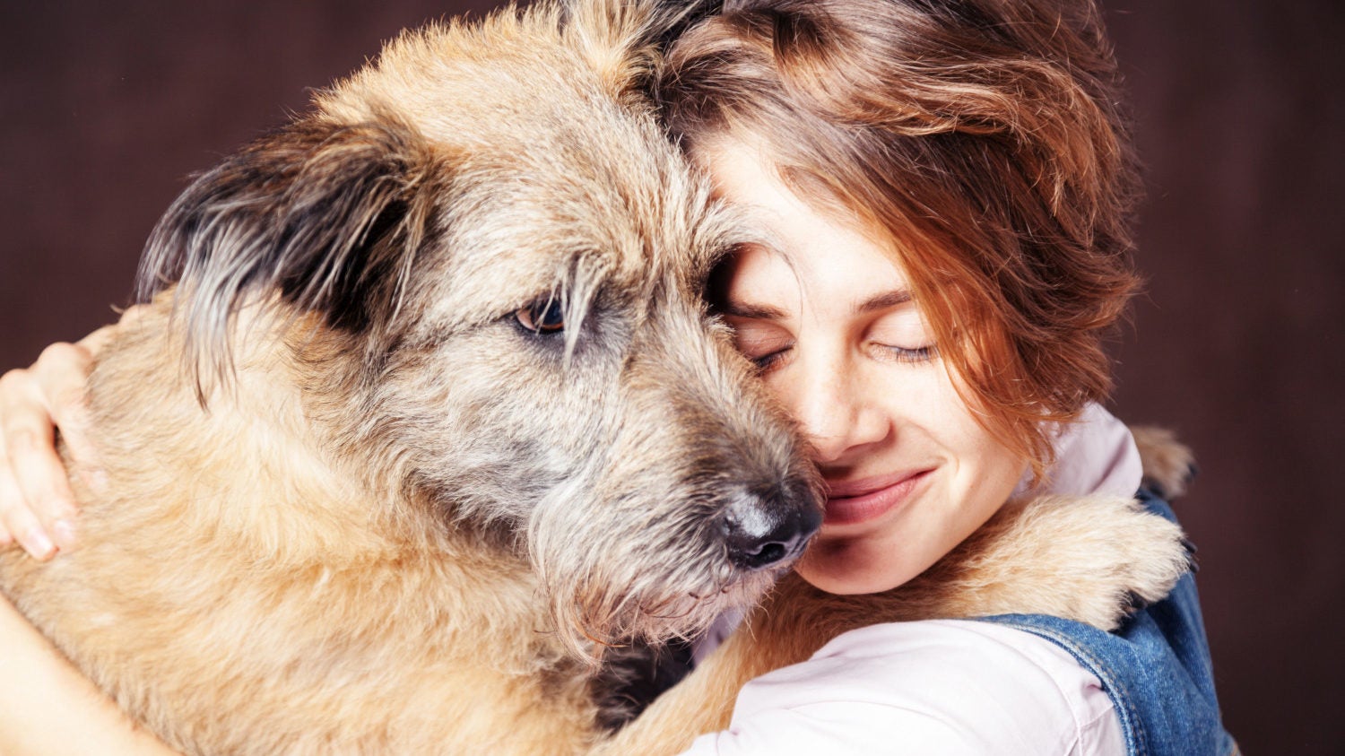 Dogs cry more when reunited with their owners - The Brighter Side of News