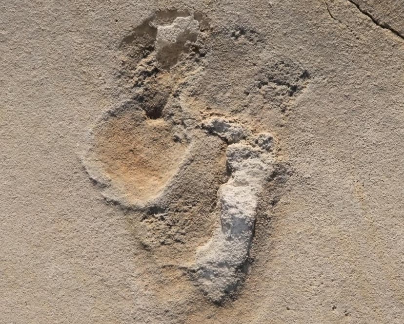 Oldest footprints of pre-humans identified in Crete - The Brighter Side ...