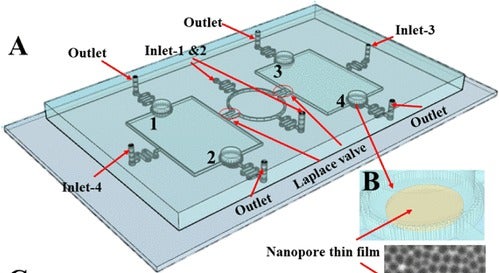 Breakthrough sensor chip is 10x more sensitive at disease diagnostics ...