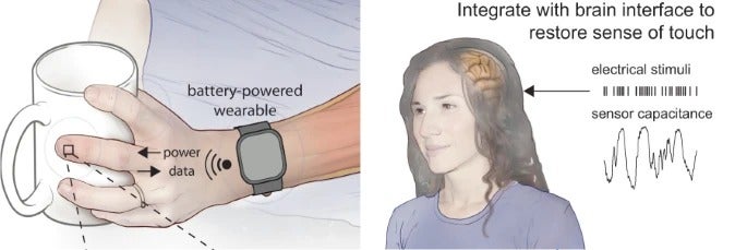 Life-changing implantable tactile sensors offer new hope for paralyzed ...