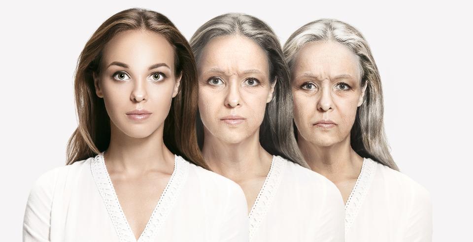 New research provides window into how individuals uniquely age over ...