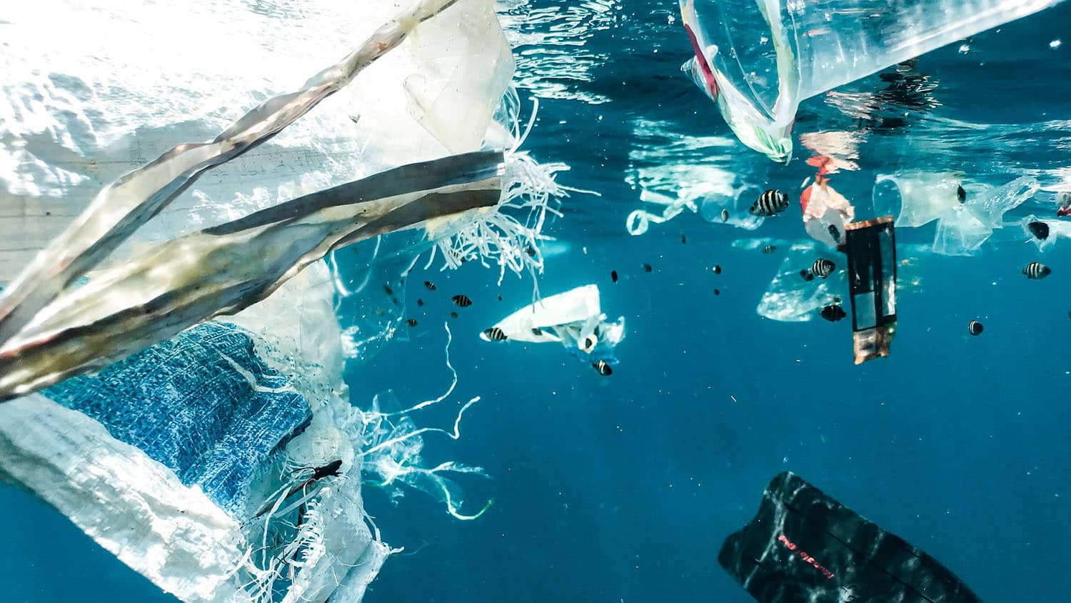 New genetically engineered bacteria breaks down plastics in saltwater ...