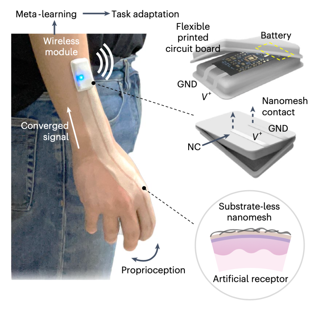 Spray-on smart skin uses AI to rapidly understand hand movements - The ...