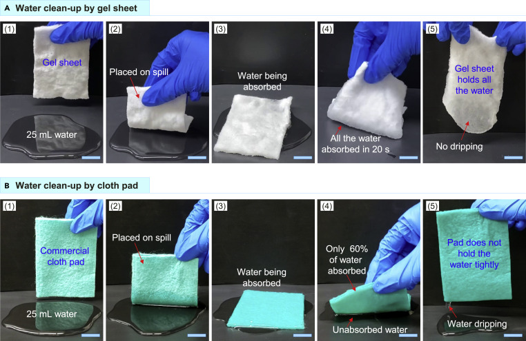 Revolutionary material absorbs 100x its weight in water - The Brighter ...