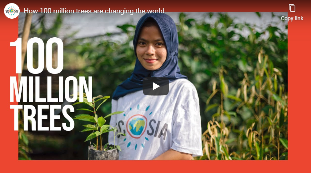 Ecosia (search engine) users have planted 100 million trees: a ...