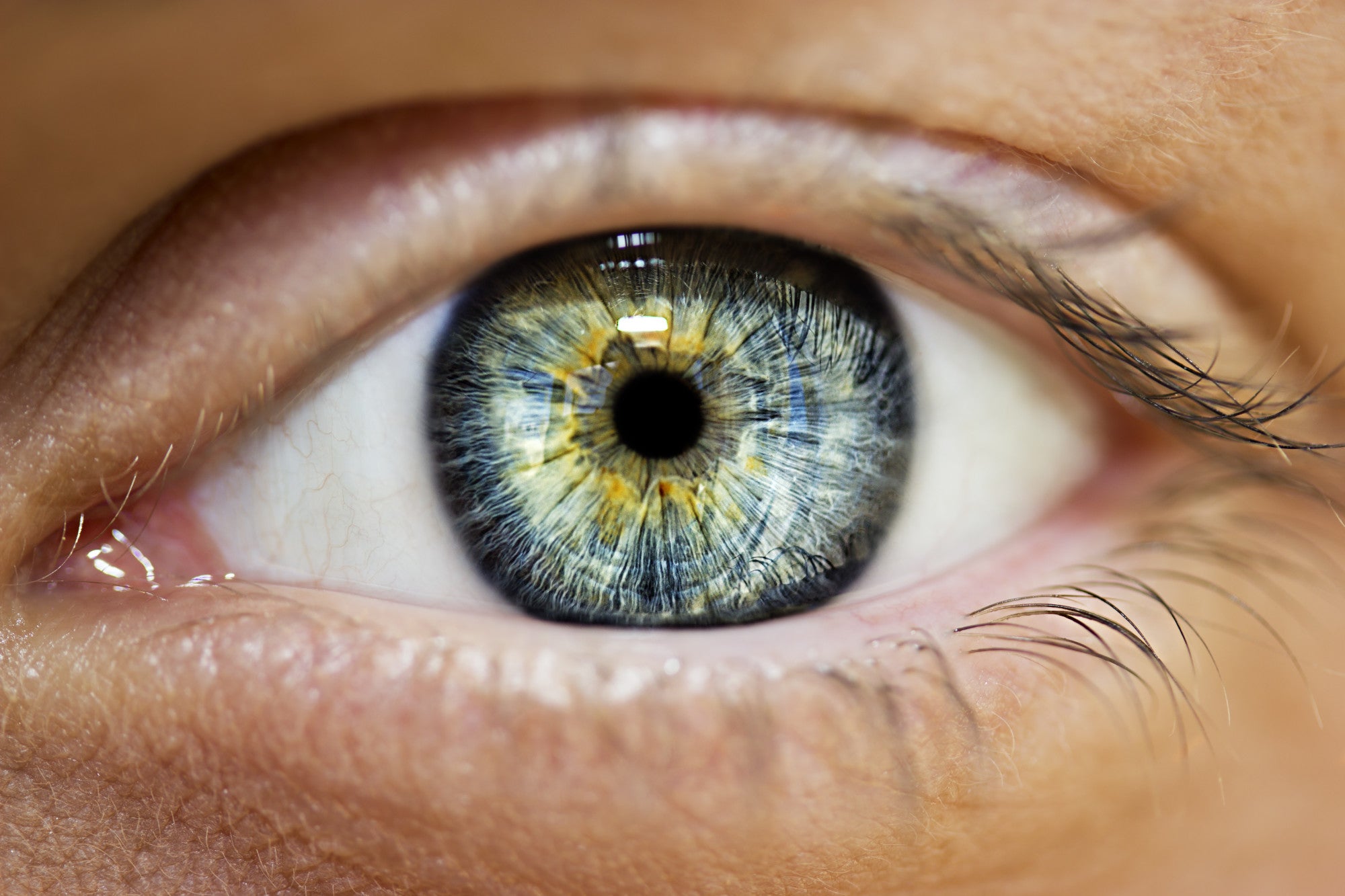Breakthrough retina cell discovery could help treat blindness - The ...