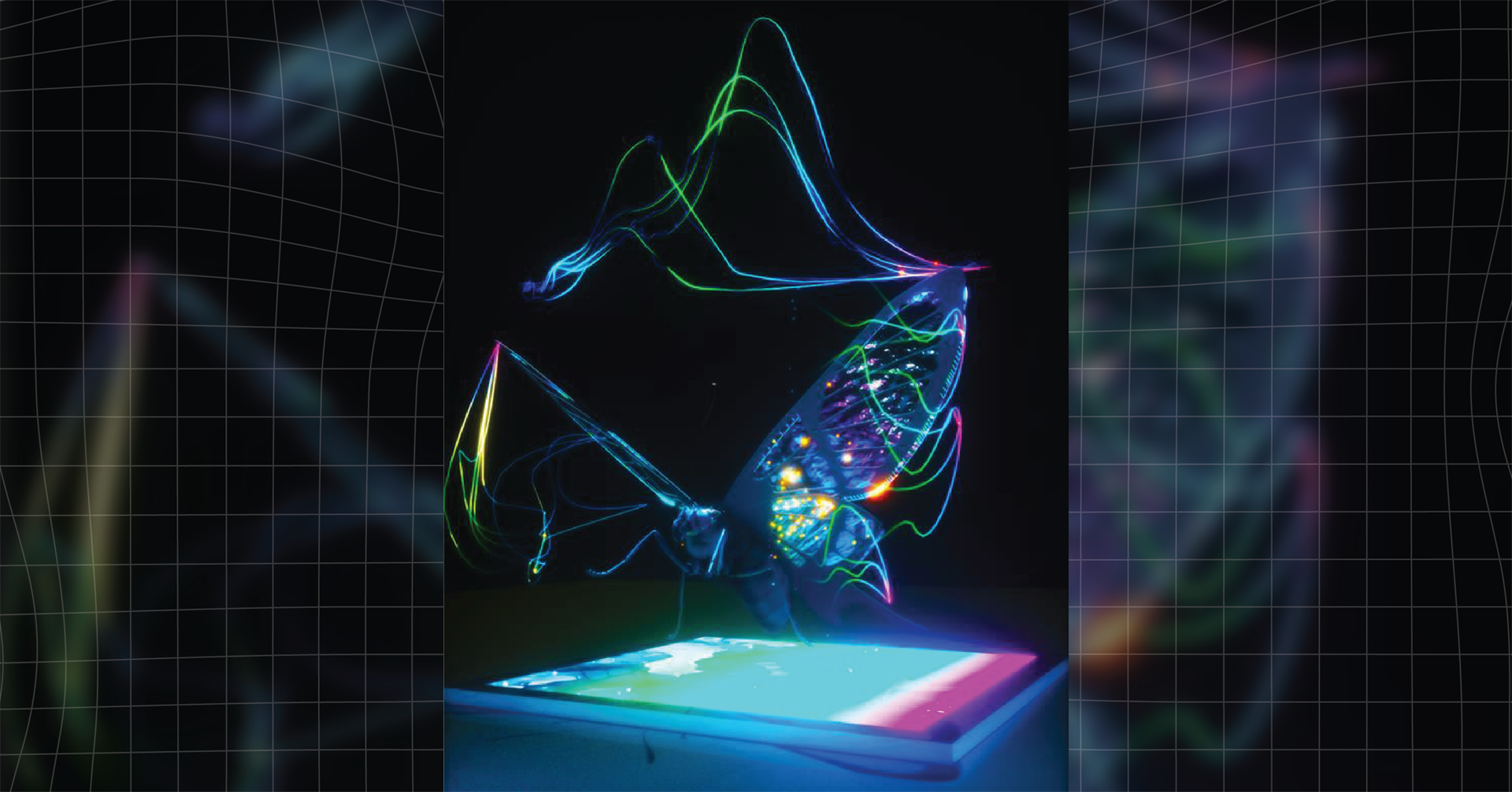 Breakthrough study finds butterflies can help scientists detect cancer ...