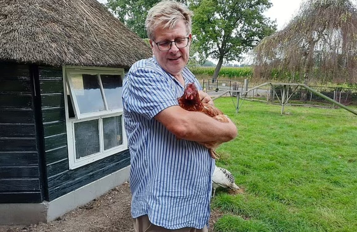 Heroic goat and Rooster rescue chicken buddy from hawk in dramatic ...