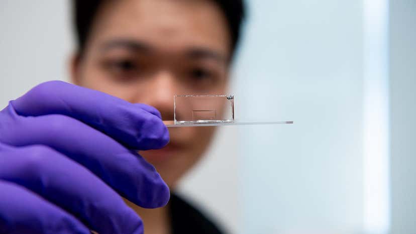 Light-based computer breakthrough: Scientists create the world's first ...