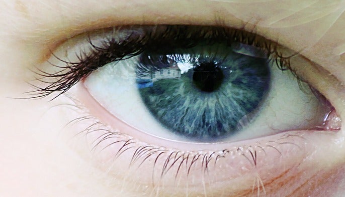 Lab-grown eye cells could be the cure for blindness, study finds - The ...