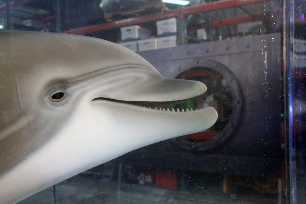 The robot dolphin that could replace captive animals at theme parks one ...