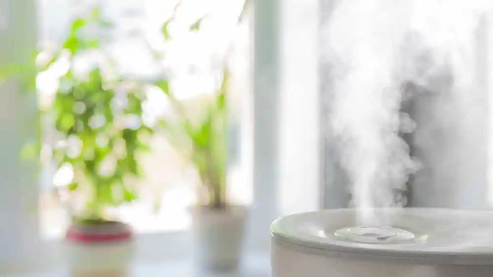 Keeping indoor humidity levels at a “sweet spot” may reduce spread of ...