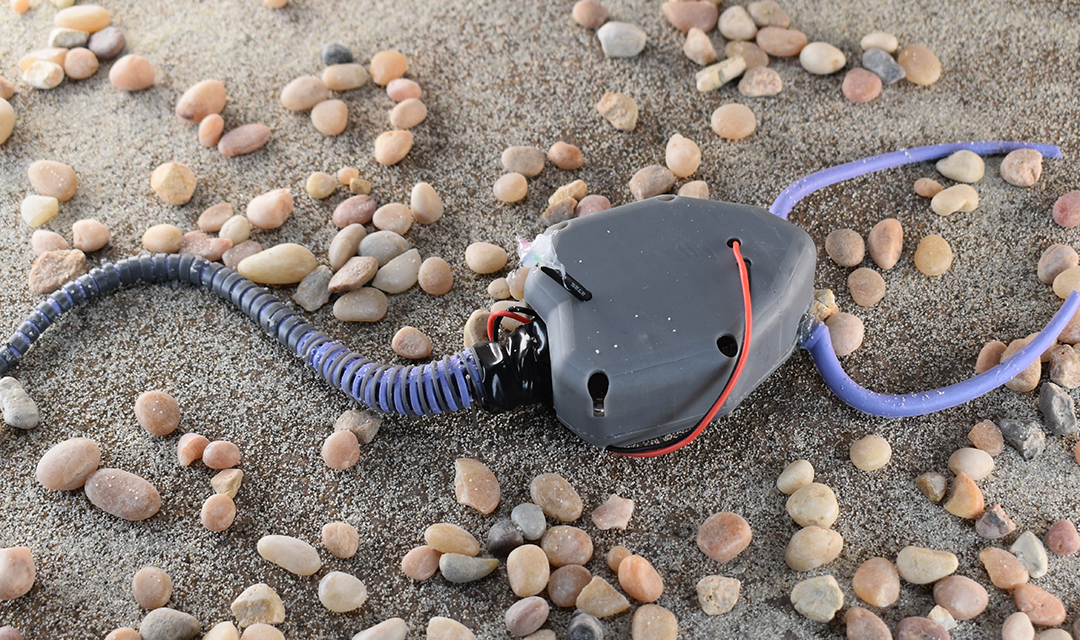 Researchers build robot based on creature that lived nearly 500 million ...