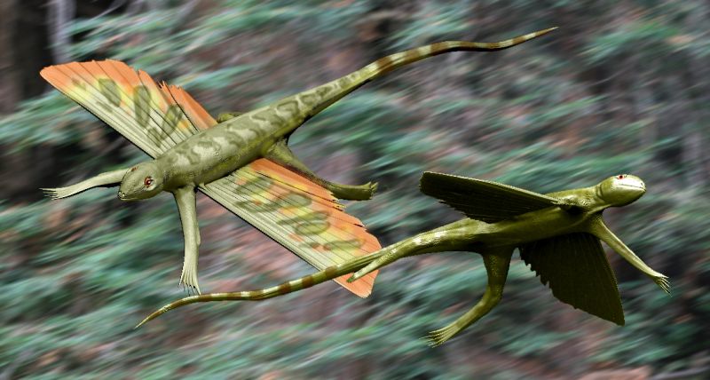 Student discovers an incredible 200-million-year-old flying reptile ...