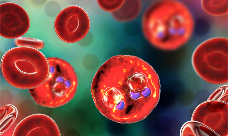 Major breakthrough in the growth, transmission and prevention of ...