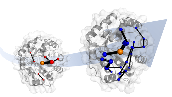 Understanding enzyme evolution paves the way for green chemistry - The ...