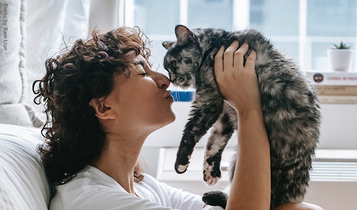 Cat ownership doubles the risk of developing schizophrenia, study finds ...