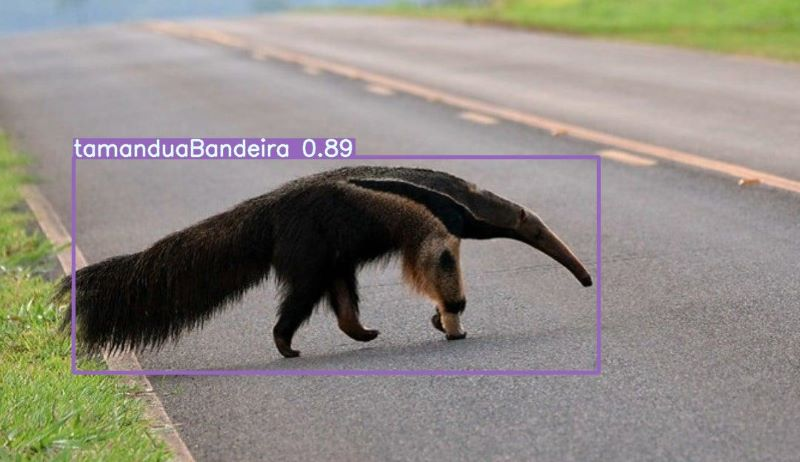 AI-powered system can detect wild animals on roads and avoid accidents ...