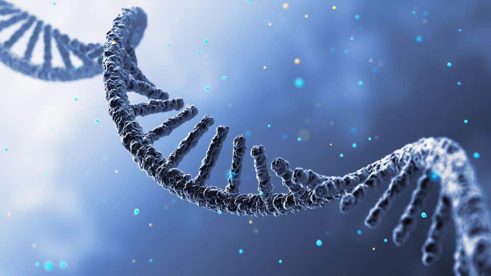 Scientists discover RNA molecules that don’t age - The Brighter Side of ...