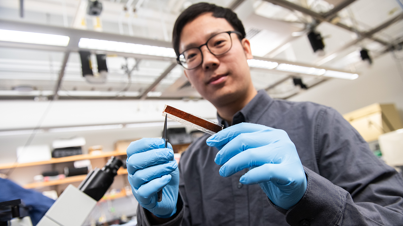 Scientists invent ultra-thin, minimally-invasive pacemaker controlled ...