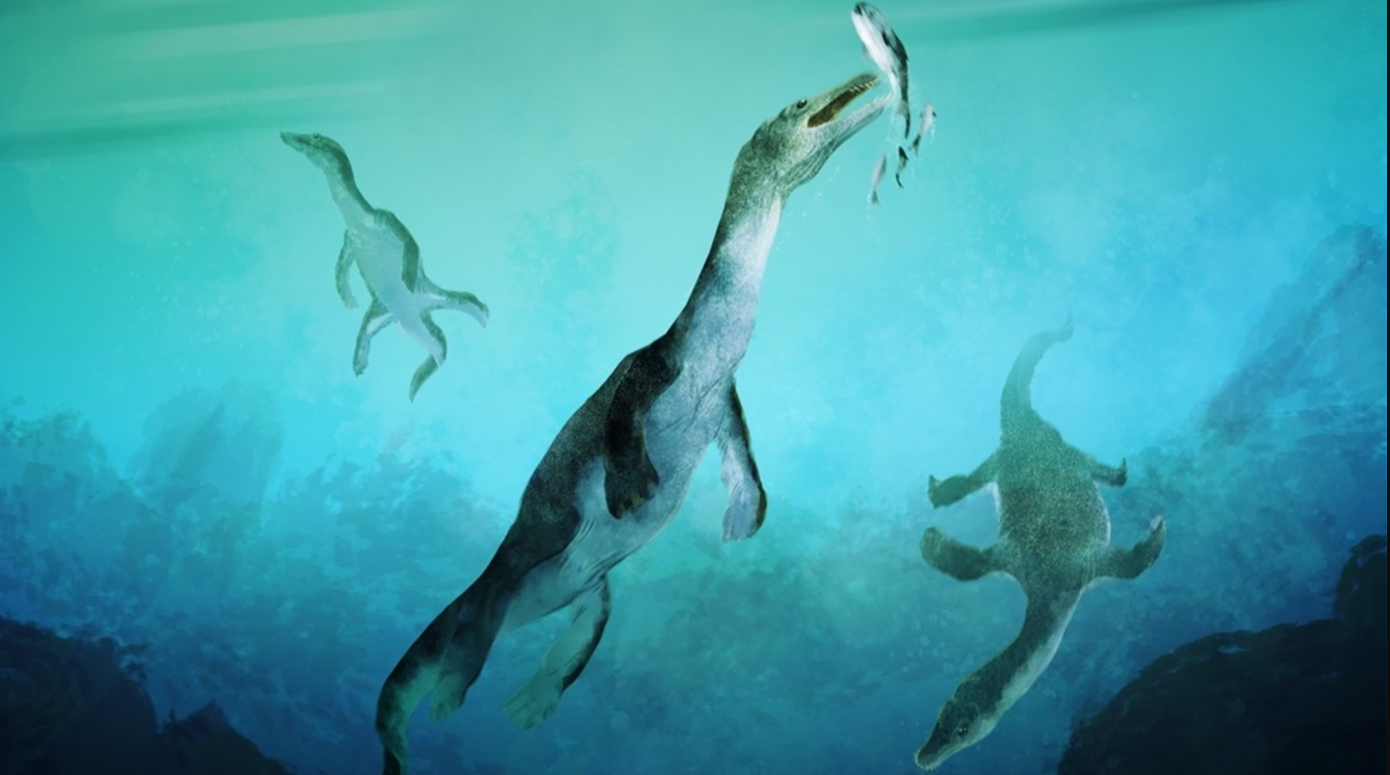 Oldest sea-going reptile unearthed in New Zealand - rewrites history of ...