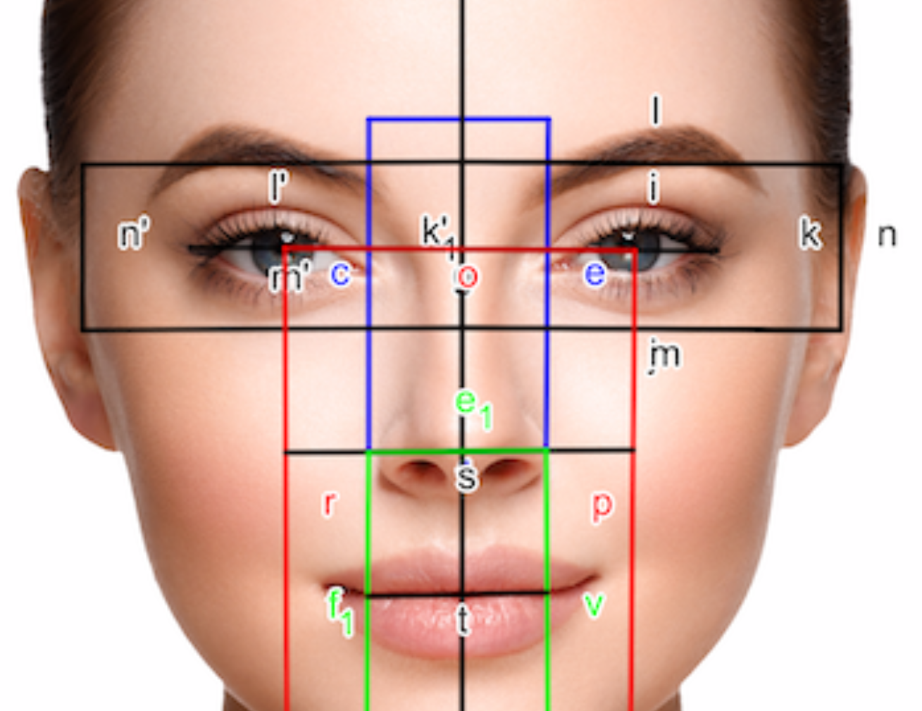 Researchers find strange 'mathematical pattern' throughout the human ...
