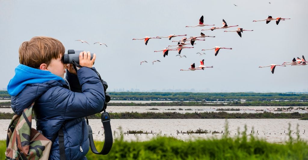 Birdwatching can significantly improve student mental health, study ...