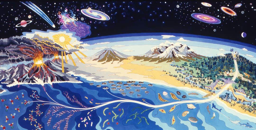 Did life on Earth come from outer space? Study provides new insights ...