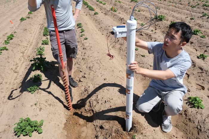 Cutting-edge soil sensors boost crop production and cut costs for ...