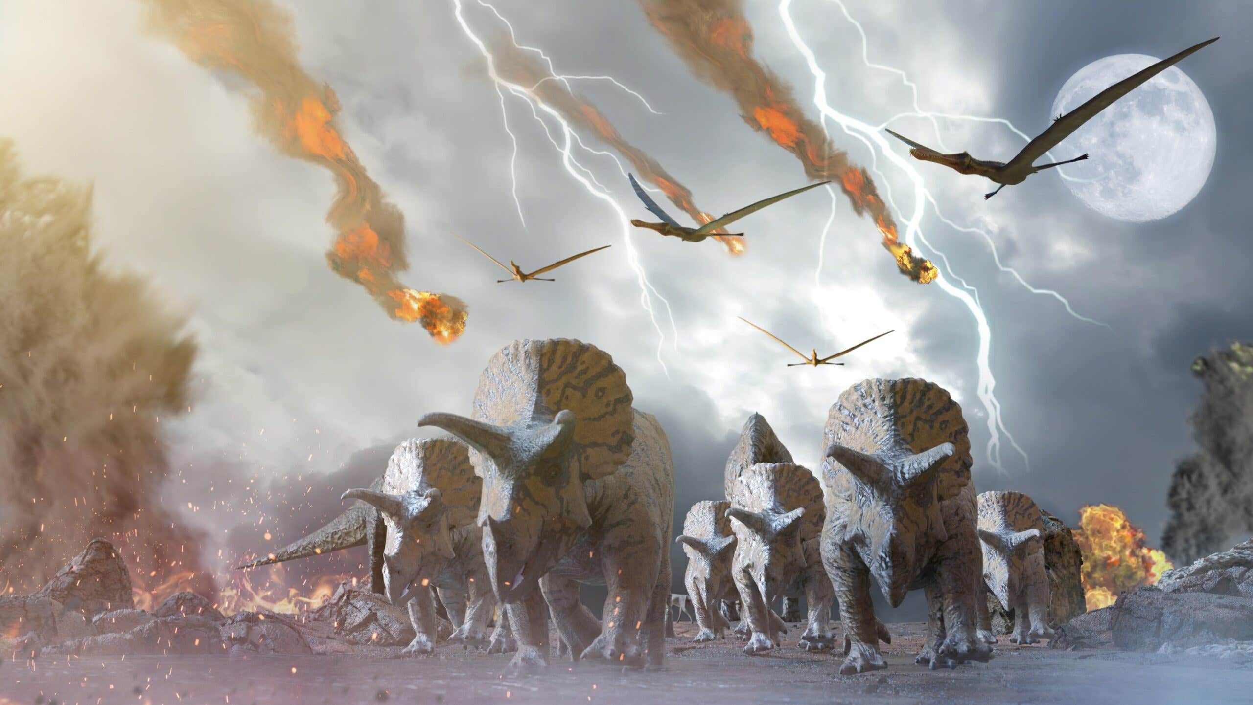 Scientists discover where the dinosaur-ending asteroid came from - The ...