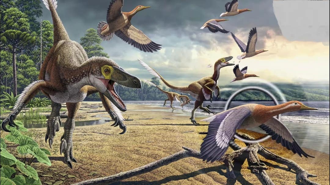 Asteroid impact that killed the dinosaurs also triggered mass bird ...