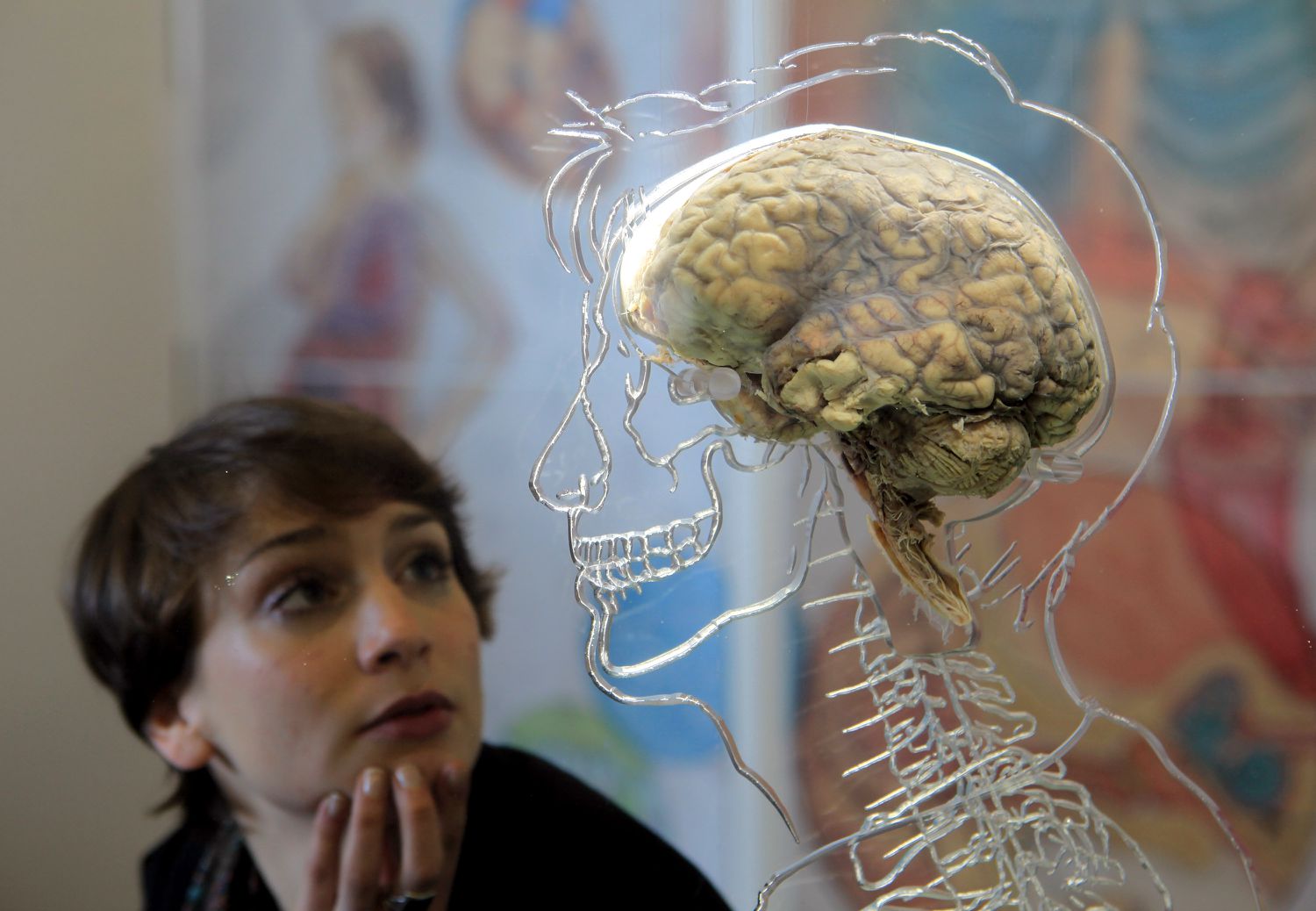 Memory capacity of the human brain is 10x more than previously thought ...