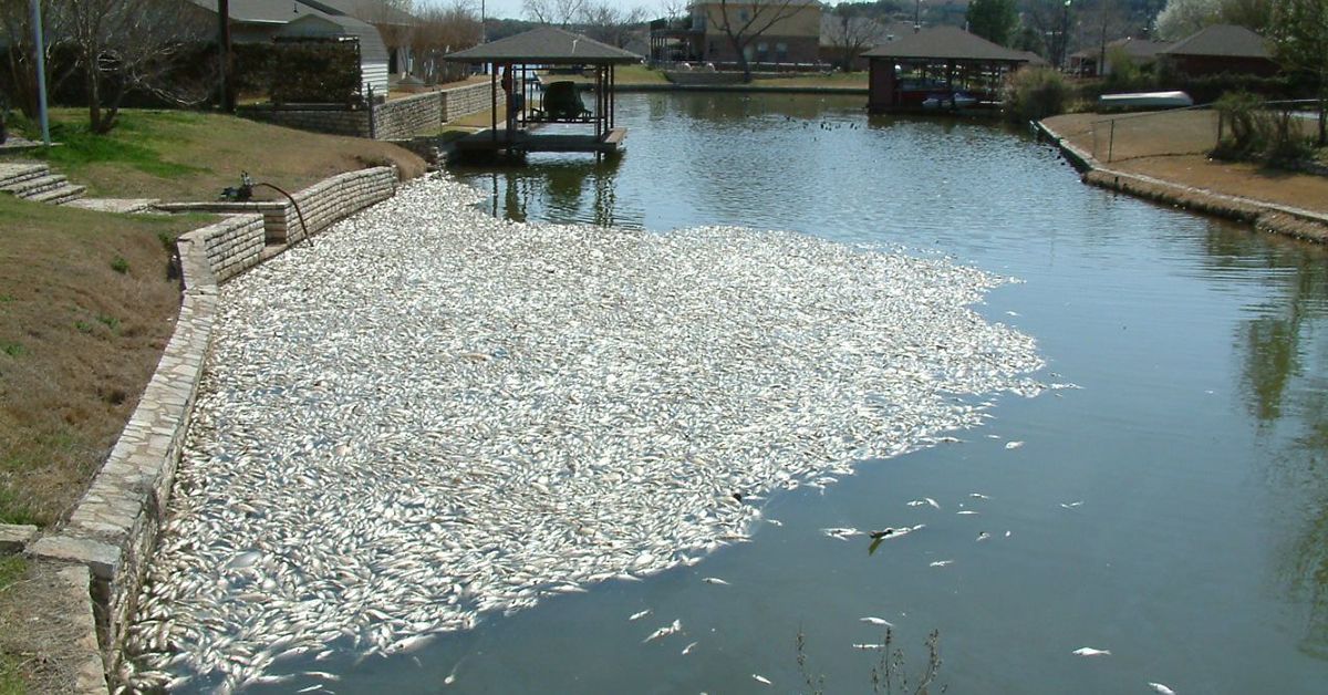 Researchers discover the largest protein ever found in biology - The ...