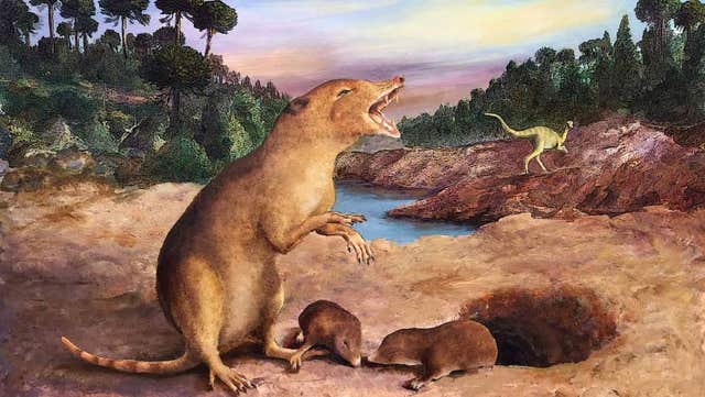 Brazilian fossils reveal jaw-dropping discovery in mammal evolution ...