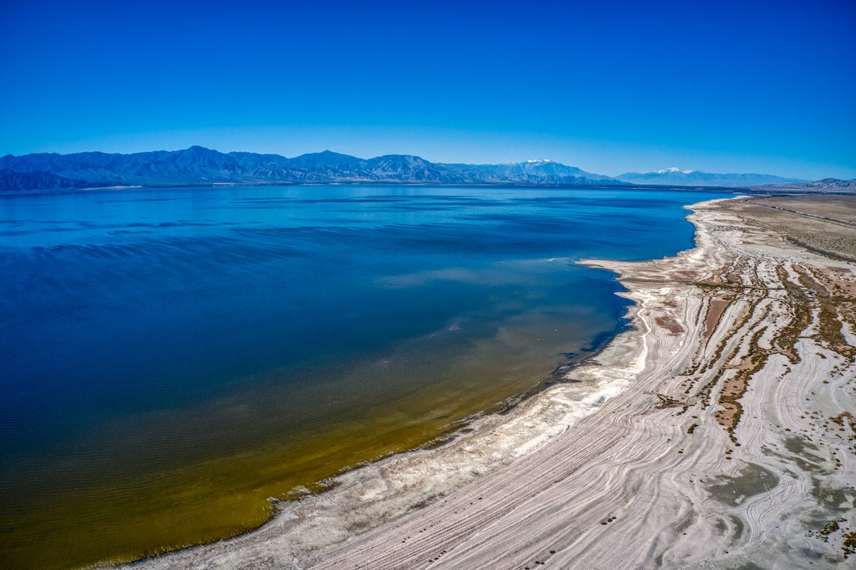California's 'white gold' discovery could power 375 million electric ...