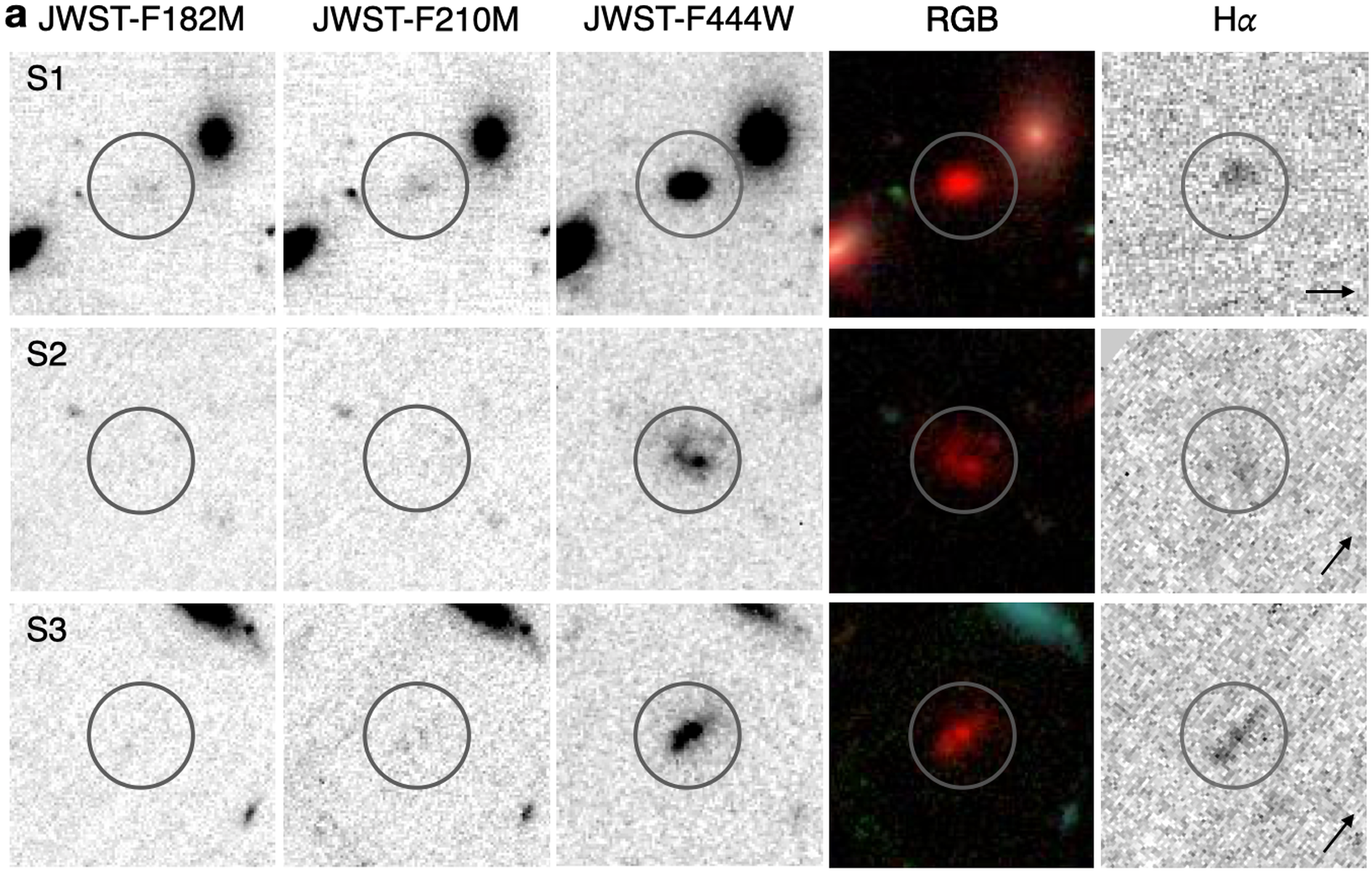 Astronomers discover ultra-massive ‘Red Monster’ galaxies from the ...