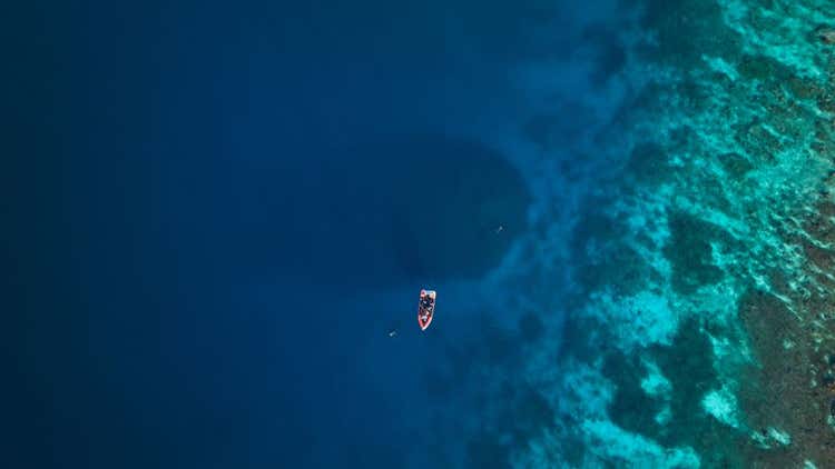 World’s largest coral colony discovered in the Pacific ocean - viewable ...