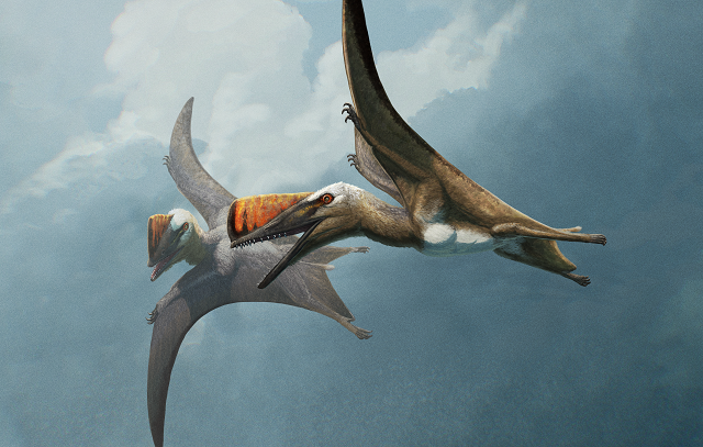 New fossil discovery reveals how flying reptiles evolved - The Brighter ...